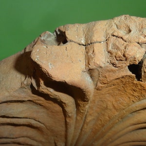 Vtg ACROTERION ANTEFIX Roof-tile 1930's, Greek Handmade Ceramic ...