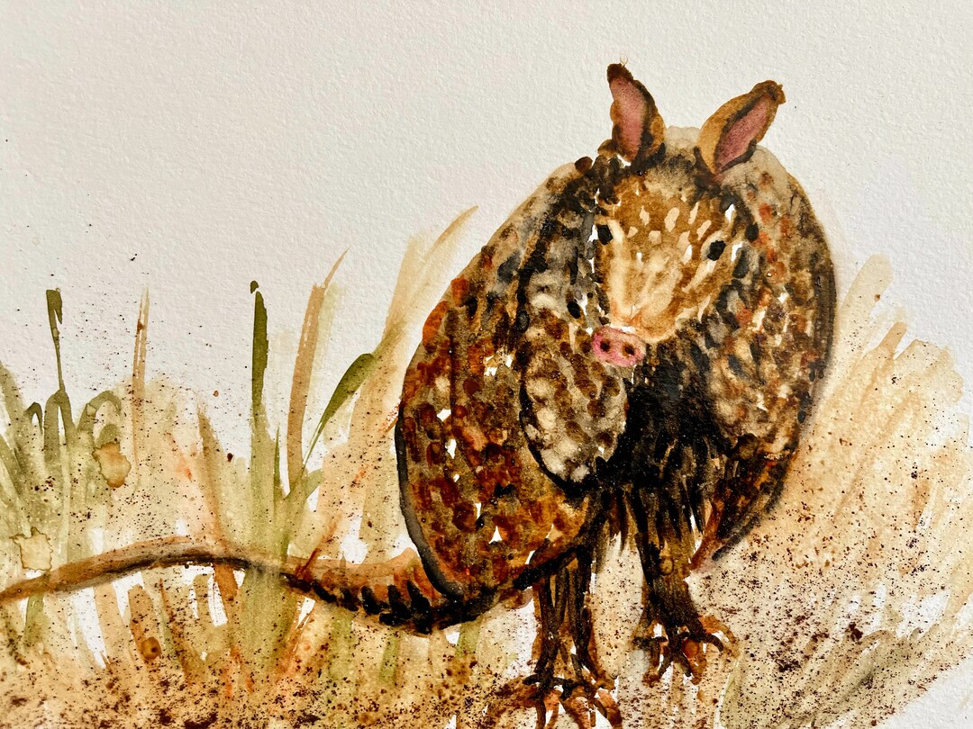 Armadillo, Art Print, Coffee & Watercolor Painting by Wendra - Etsy