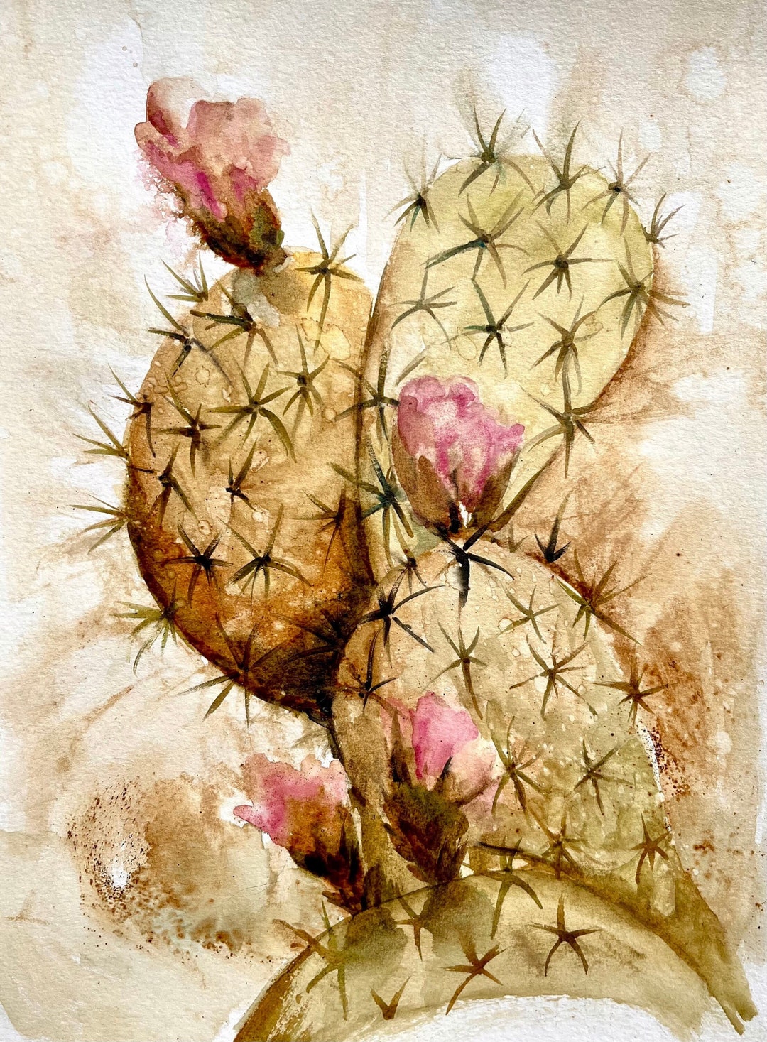 Cactus Flower , Art Print. - Etsy
