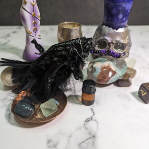 Chicken Foot Amulet - Hoodoo, Folk Magic, Protection, Charm, Witchcraft ...