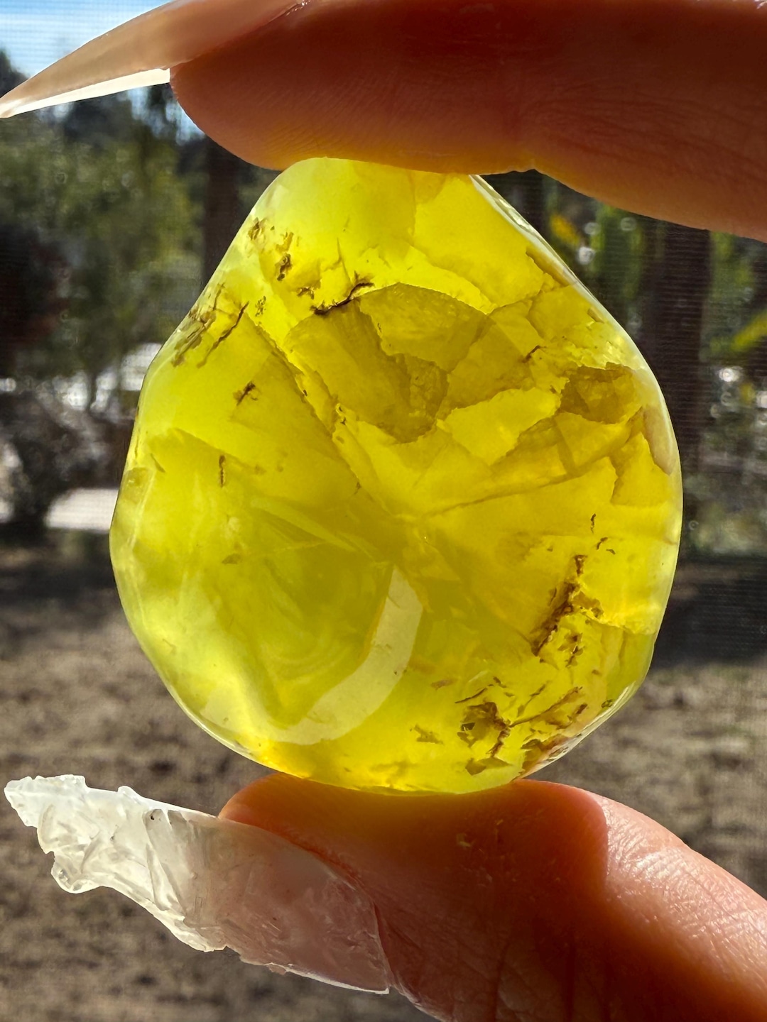 RARE: Large Gem Grade Neon-yellow Australian Prehnite, Prehnite ...