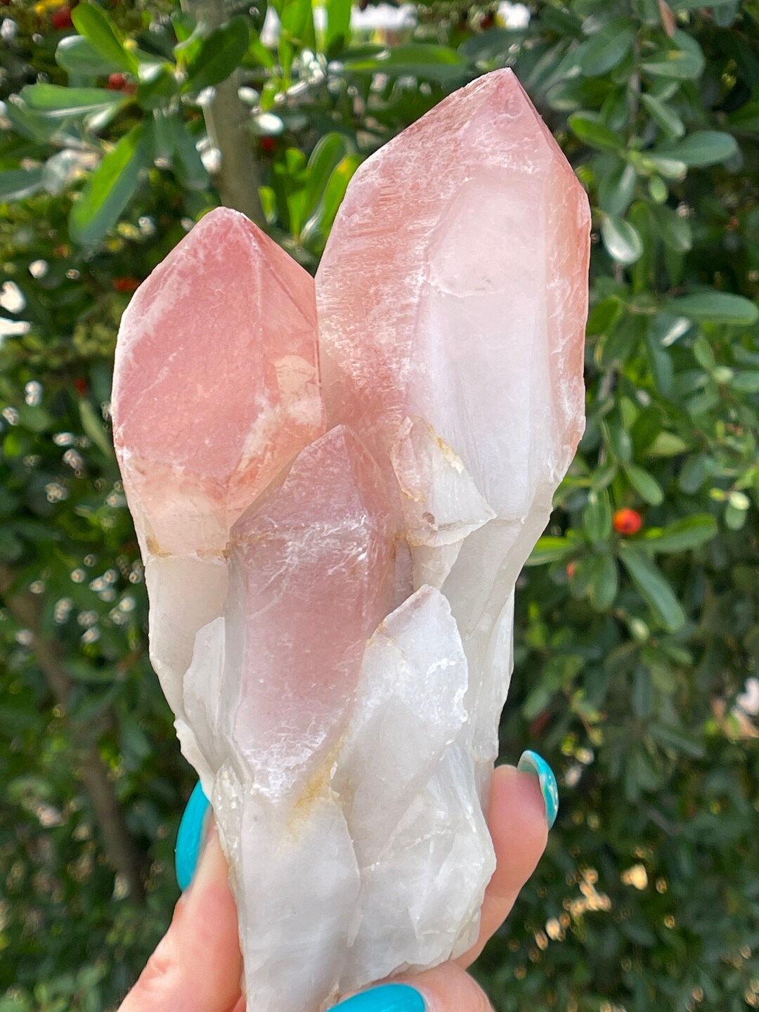 Scarlet Temple Lemurian Cluster From Diamantina, Brazil, Red Lemurian ...