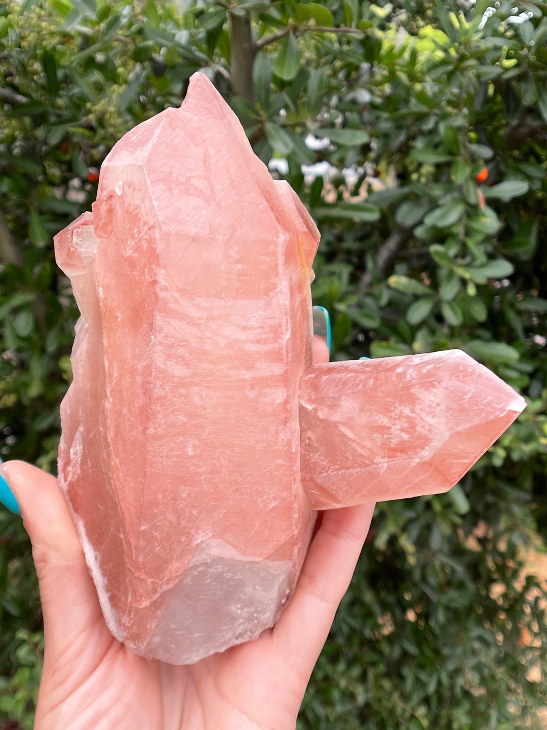 Scarlet Temple Lemurian Cluster From Diamantina, Brazil, Red Lemurian ...