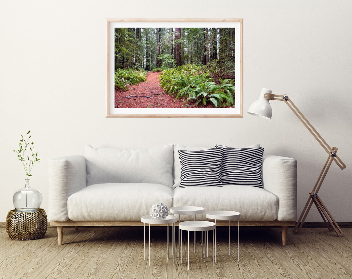 California Redwoods Print, Majestic Redwoods, Forest Scenery, Redwood ...