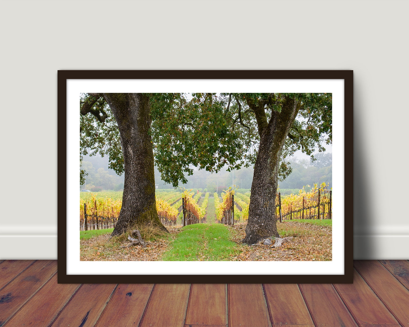 California Vineyard Print, Vineyard Photograph, Sonoma County ...