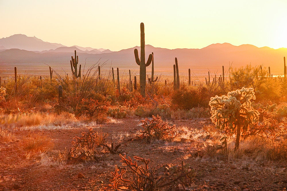 Desert Sunset Pink Sunset Tucson Arizona Landscape Desert - Etsy Canada