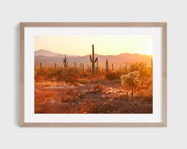 Desert Sunset Pink Sunset Tucson Arizona Landscape Desert - Etsy
