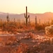 Desert Sunset, Pink Sunset, Tucson, Arizona Landscape, Desert ...
