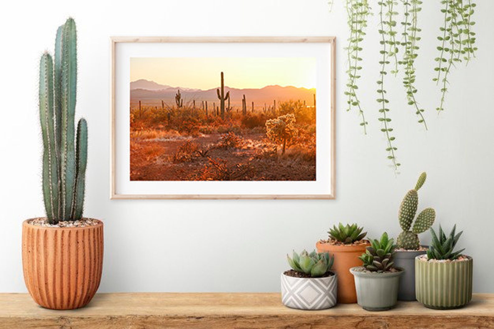 Desert Sunset, Pink Sunset, Tucson, Arizona Landscape, Desert ...
