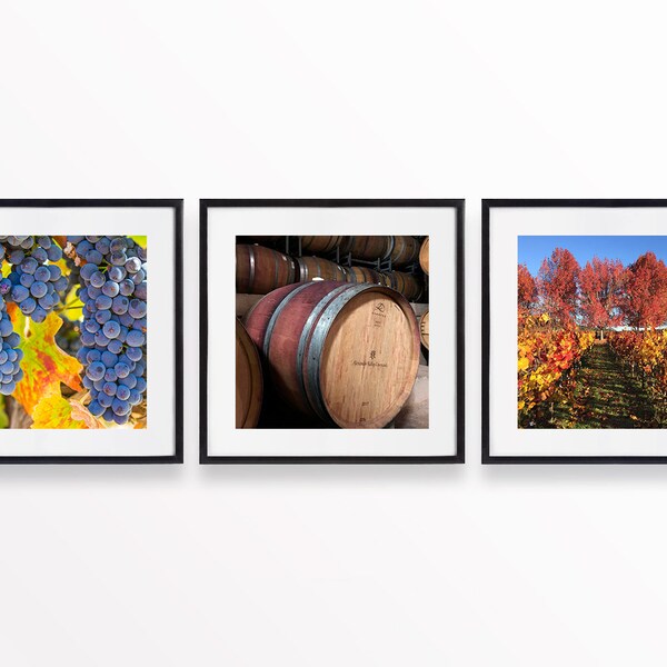 Vineyard Photography - Etsy