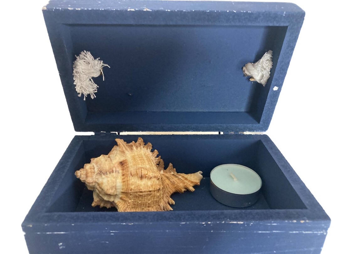 Sea Shell Altar / Gift Set Medium Sea Themed in Wooden Box - Etsy
