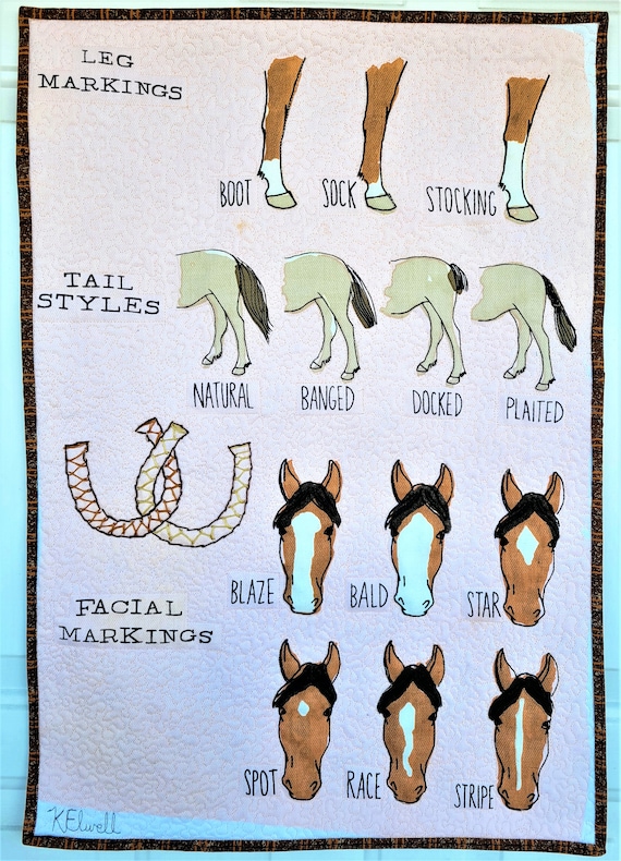 Horse Leg Markings Chart