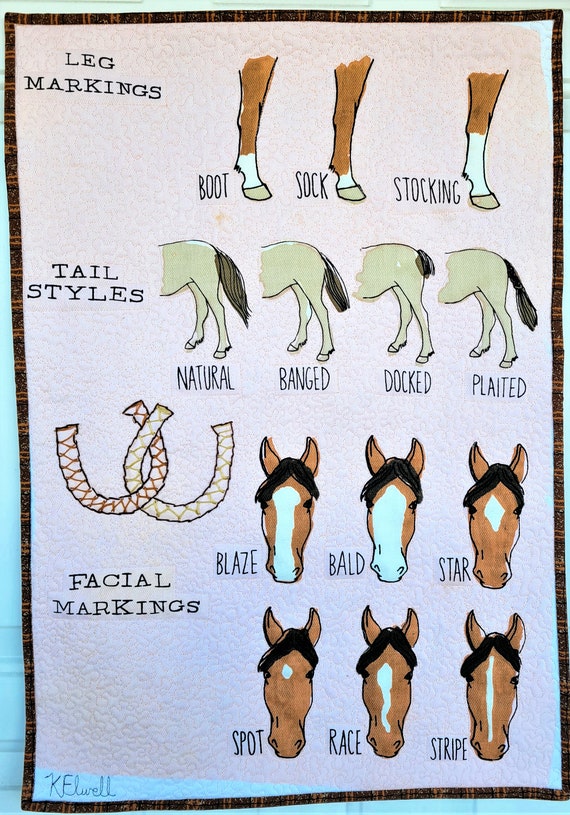 Unique Horse Face Markings