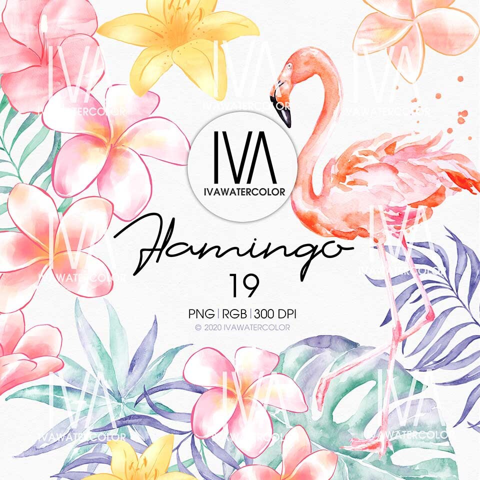 Flamingo Summer Clipart Tropical Set, Flamingo and Leaf Patterns - Etsy