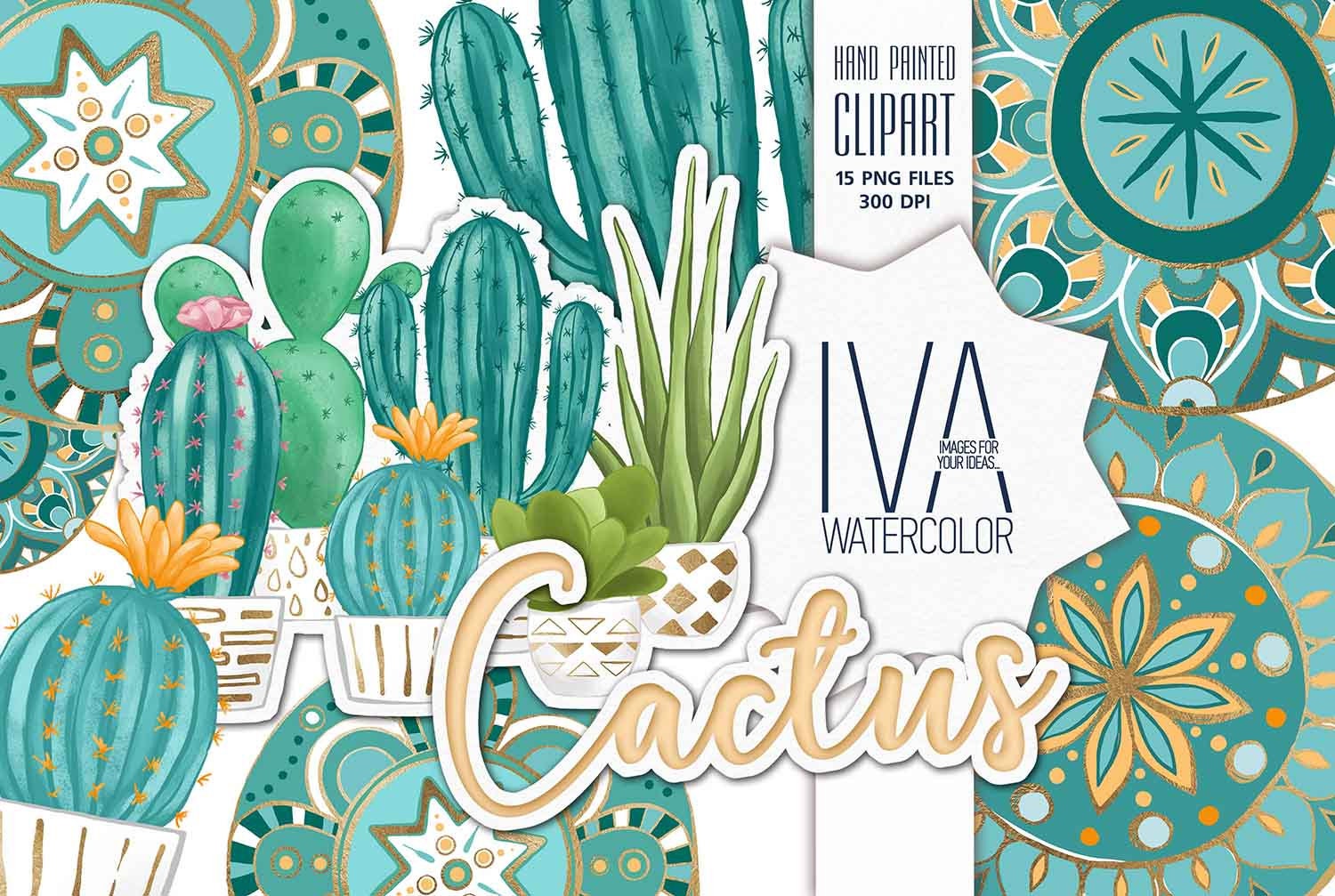 Cactus Clipart Succulent Clipart Pastel Hand Drawn Floral - Etsy