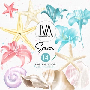 Sea Nautical Summer Clipart PNG Printable, Sea Wedding Clipart, Marine ...