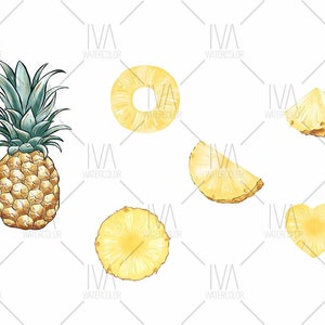 Pineapple Coconut Clipart, Tropical Fruits and Leaves Patterns ...