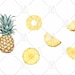 Pineapple Coconut Clipart, Tropical Fruits and Leaves Patterns ...