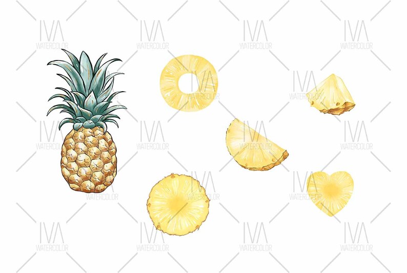 Pineapple Coconut Clipart, Tropical Fruits and Leaves Patterns ...