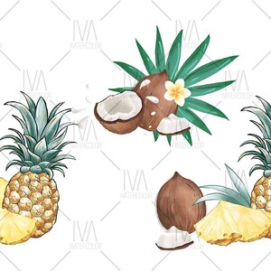 Pineapple Coconut Clipart, Tropical Fruits and Leaves Patterns ...