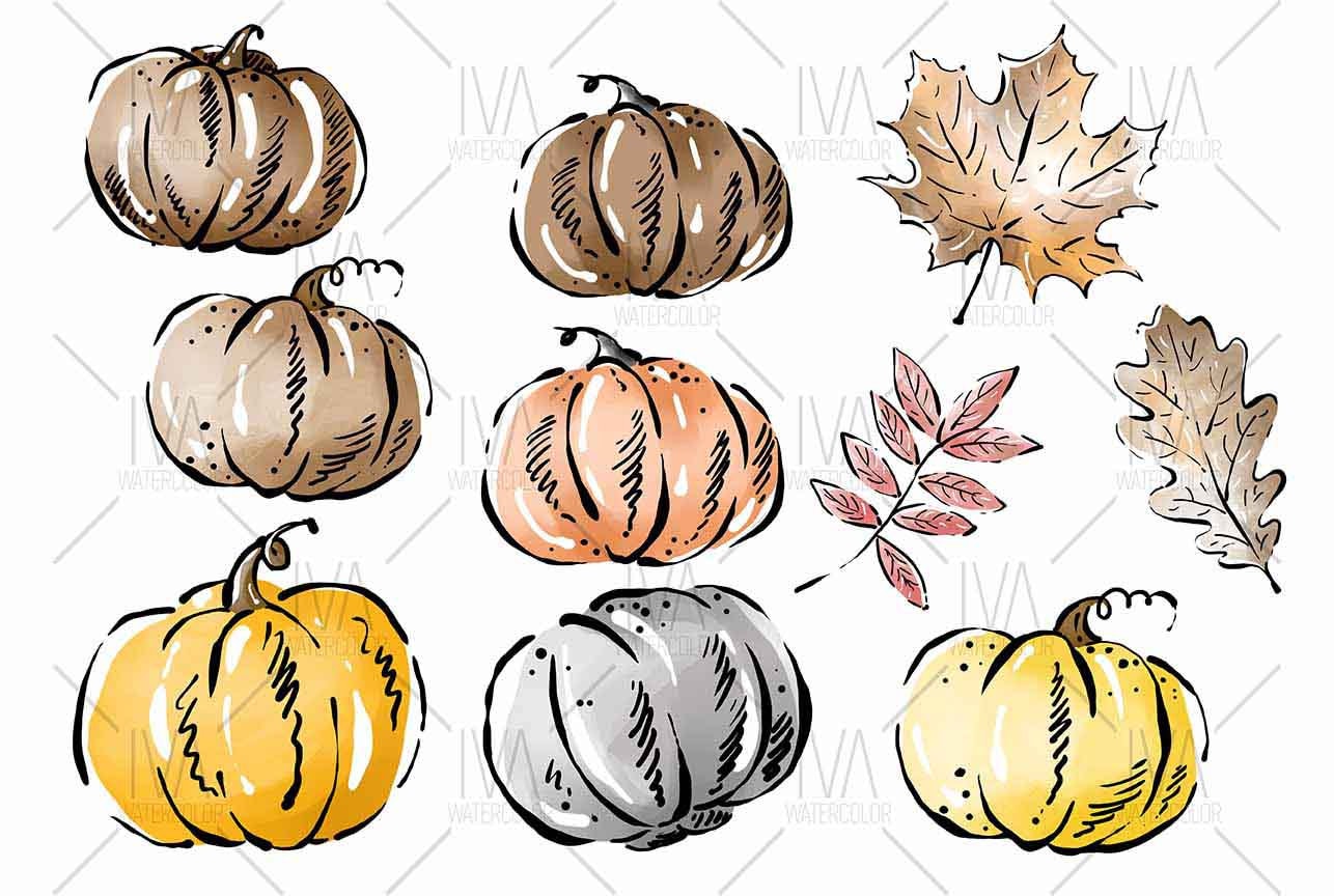 Food Clipart, Pink Pumpkin, Autumn Leaves, Autumn Decor, Muffin With ...