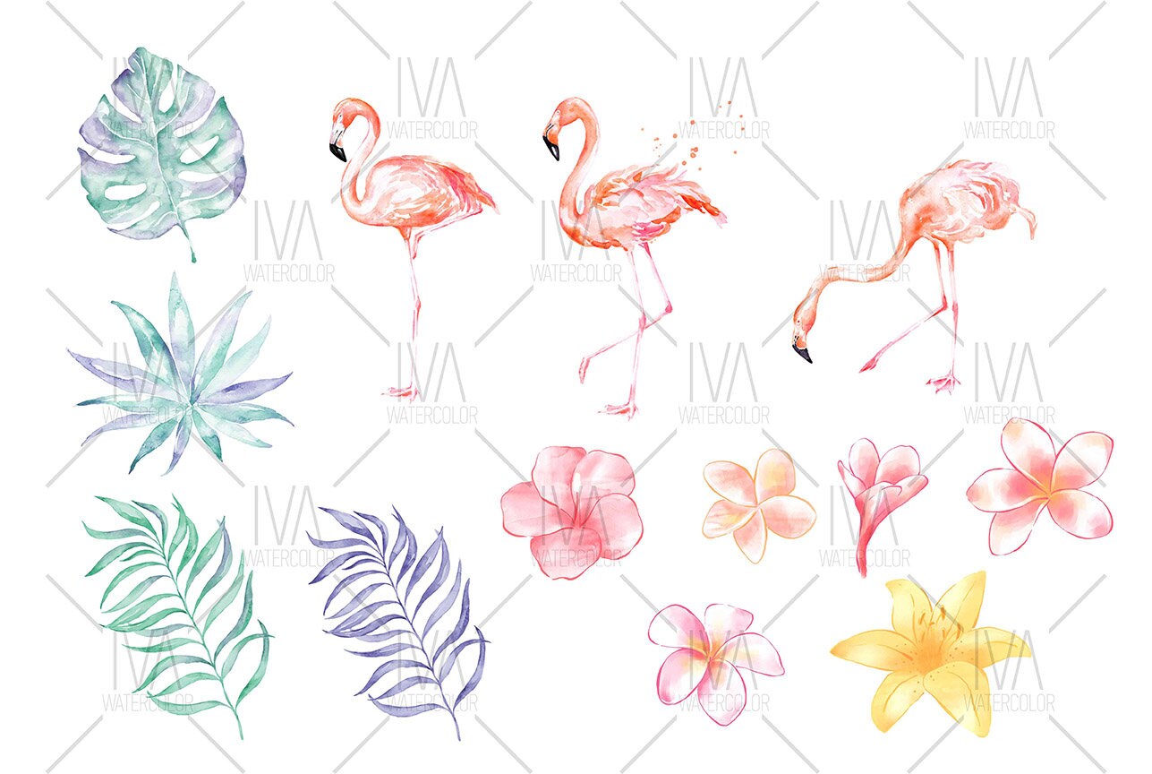 Flamingo Summer Clipart Tropical Set Flamingo and Leaf - Etsy Canada