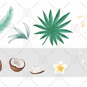 Pineapple Coconut Clipart, Tropical Fruits and Leaves Patterns ...