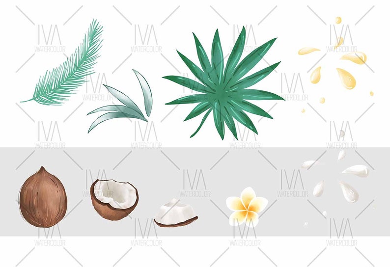 Pineapple Coconut Clipart, Tropical Fruits and Leaves Patterns ...