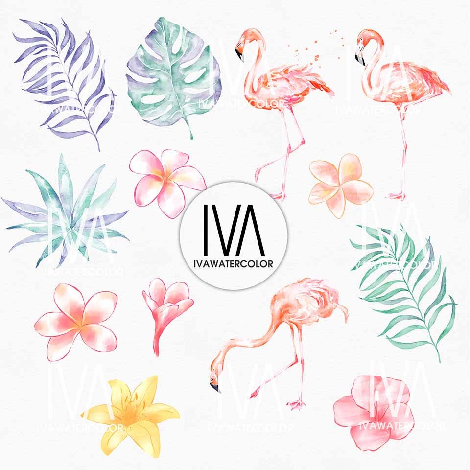Flamingo Summer Clipart Tropical Set, Flamingo and Leaf Patterns - Etsy