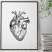 Anatomical Heart Print, Human Heart Anatomy Print, Heart Illustration ...