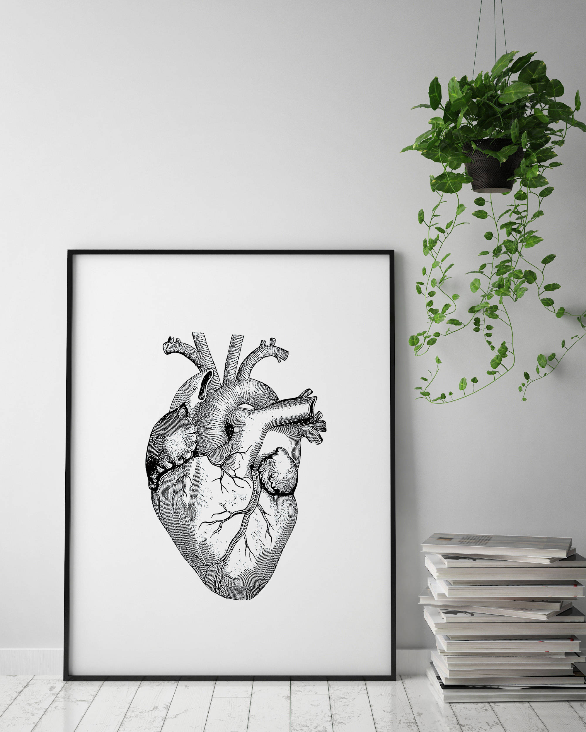 Anatomical Heart Print, Human Heart Anatomy Print, Heart Illustration ...