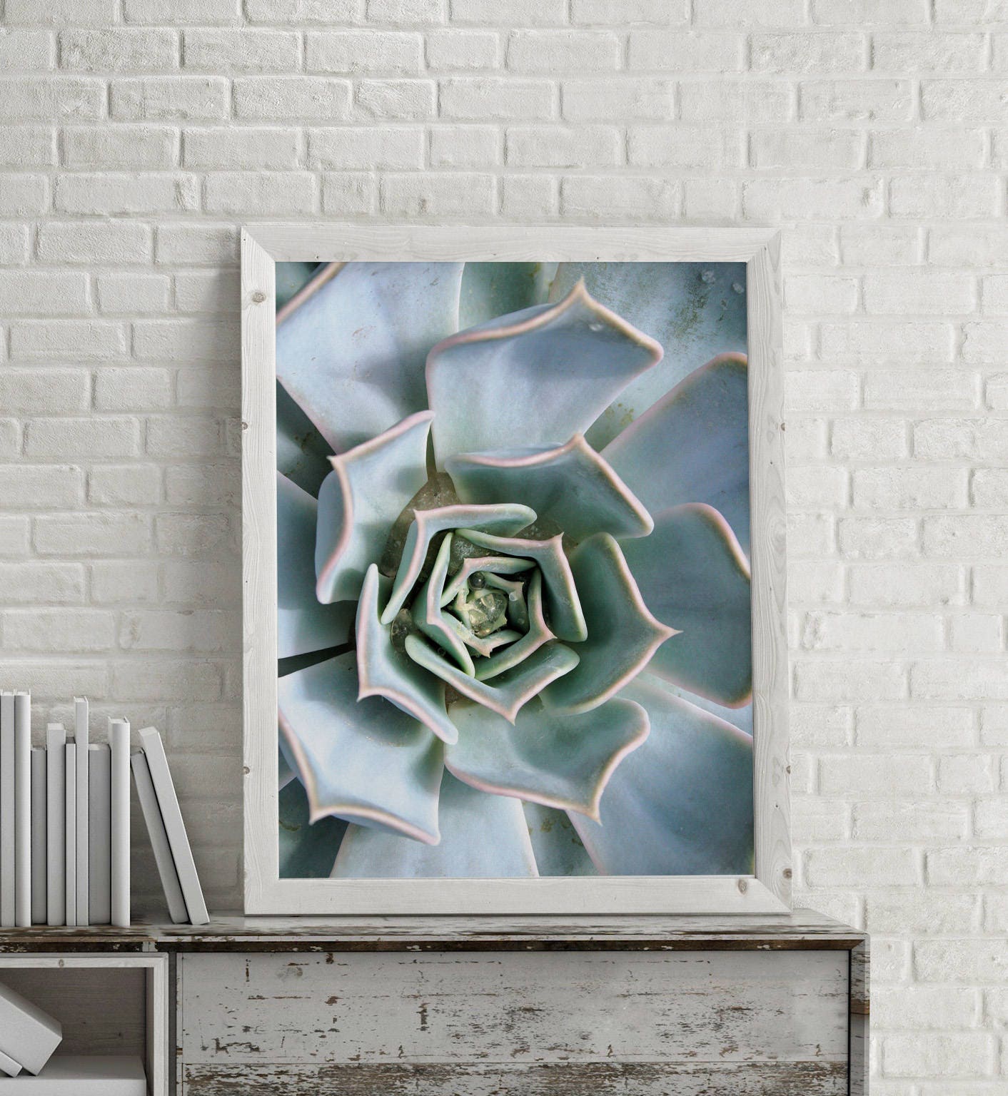 Succulent Art Print, Succulent Photography, Succulent Wall Art ...