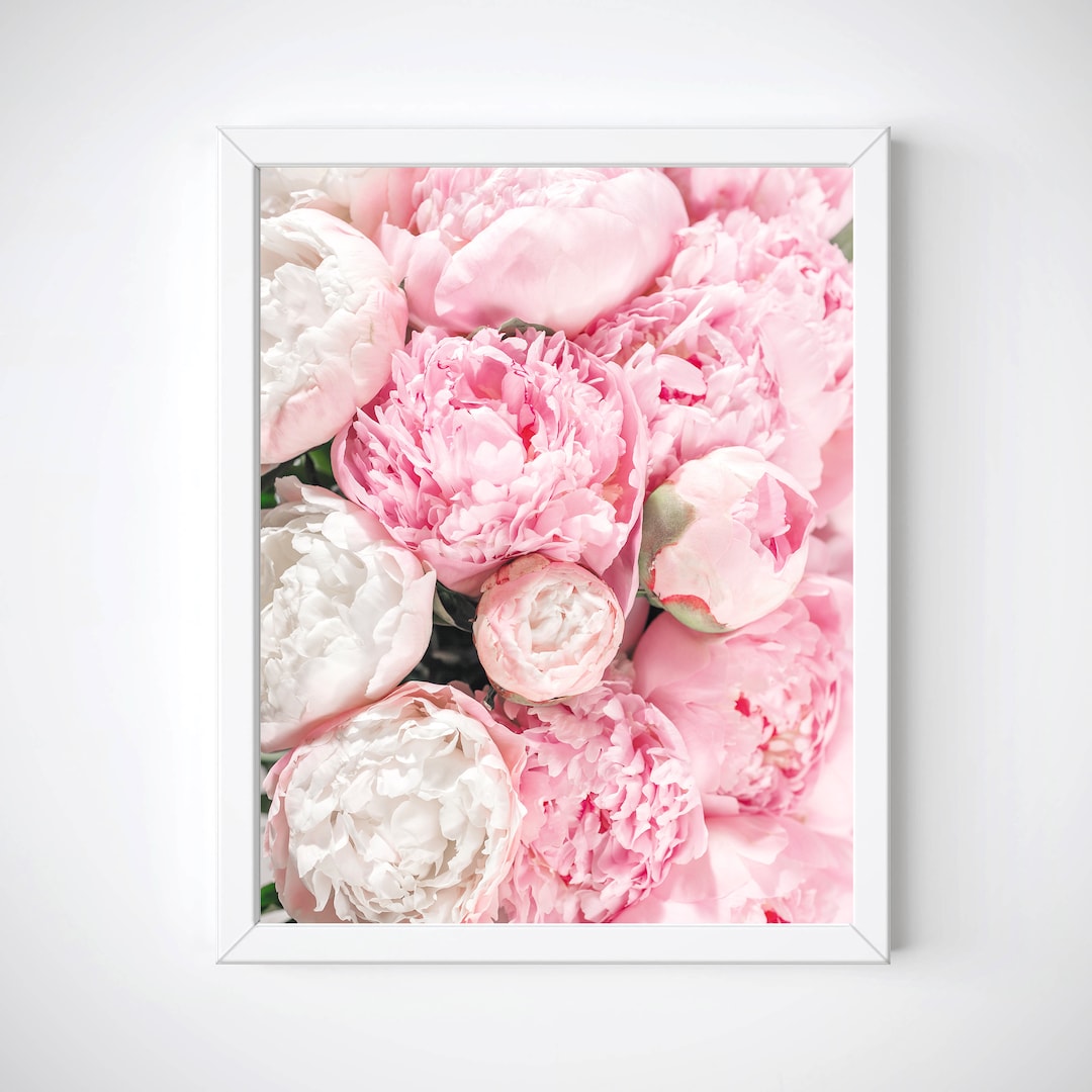 Pink Peonies Print, Peony Print, Peony Wall Art, Blush Pink Decor ...
