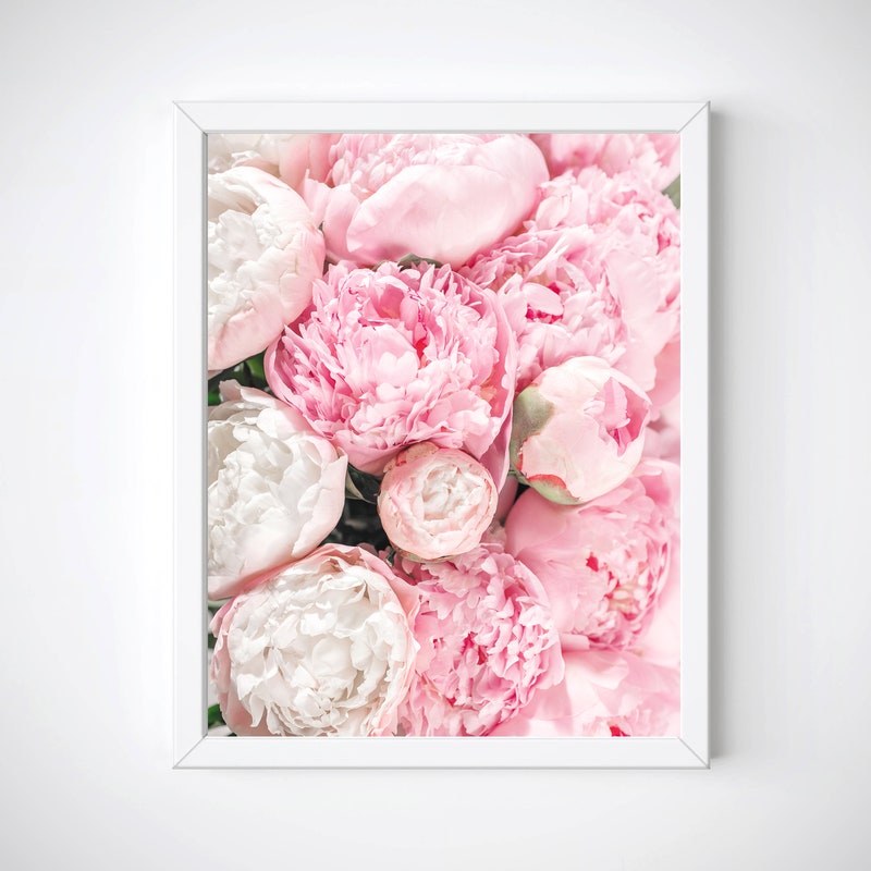Peony Photography - Etsy