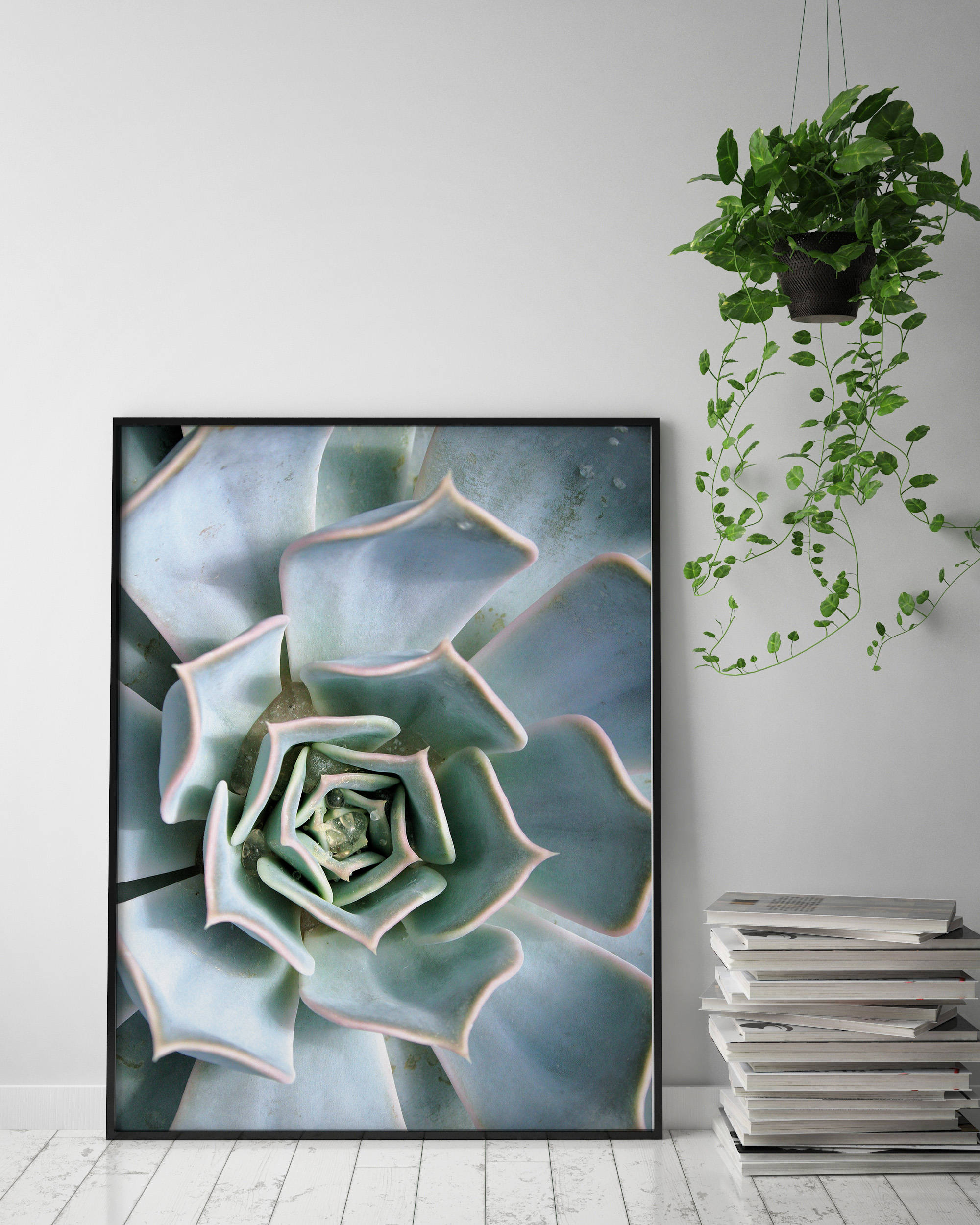 Succulent Art Print, Succulent Photography, Succulent Wall Art ...