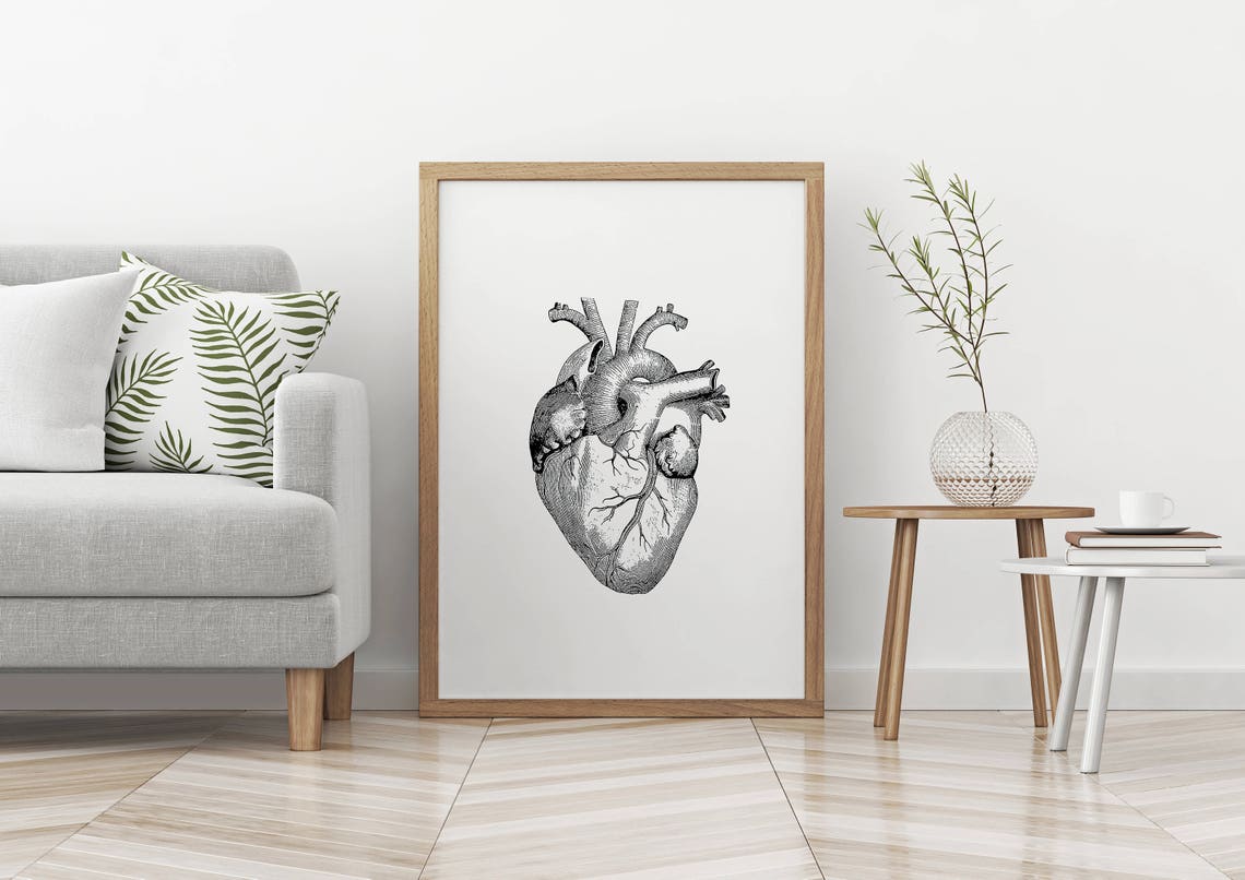 Anatomical Heart Print, Human Heart Anatomy Print, Heart Illustration ...