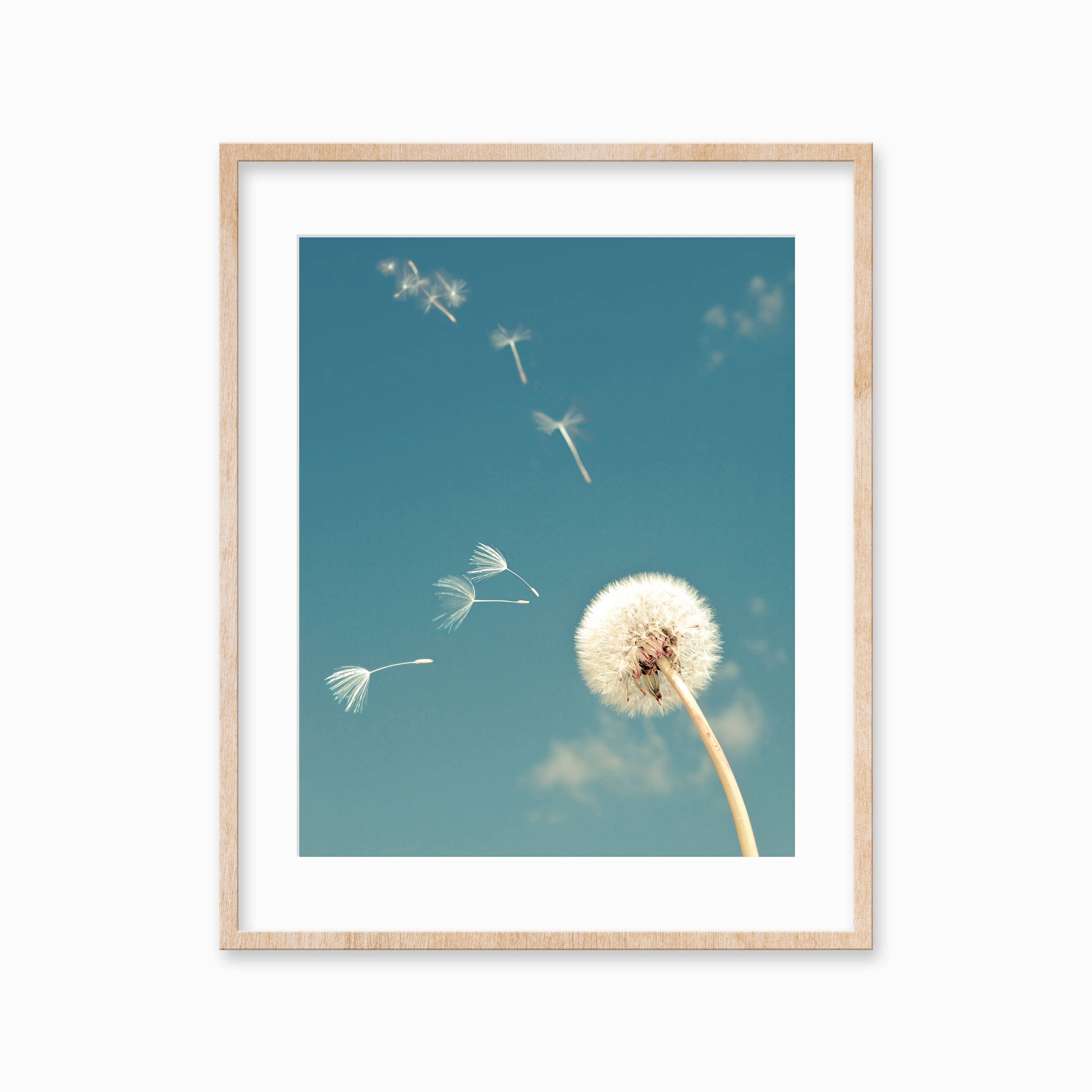 Dandelion Wall Art, Dandelion Art, Botanical Poster, Dandelion Art ...