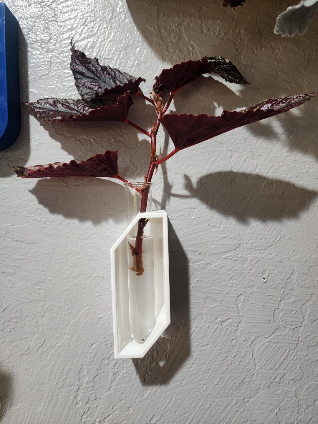 Wall Mount Plant Propagation Planter, Glass Propagating Tubes, Boho ...