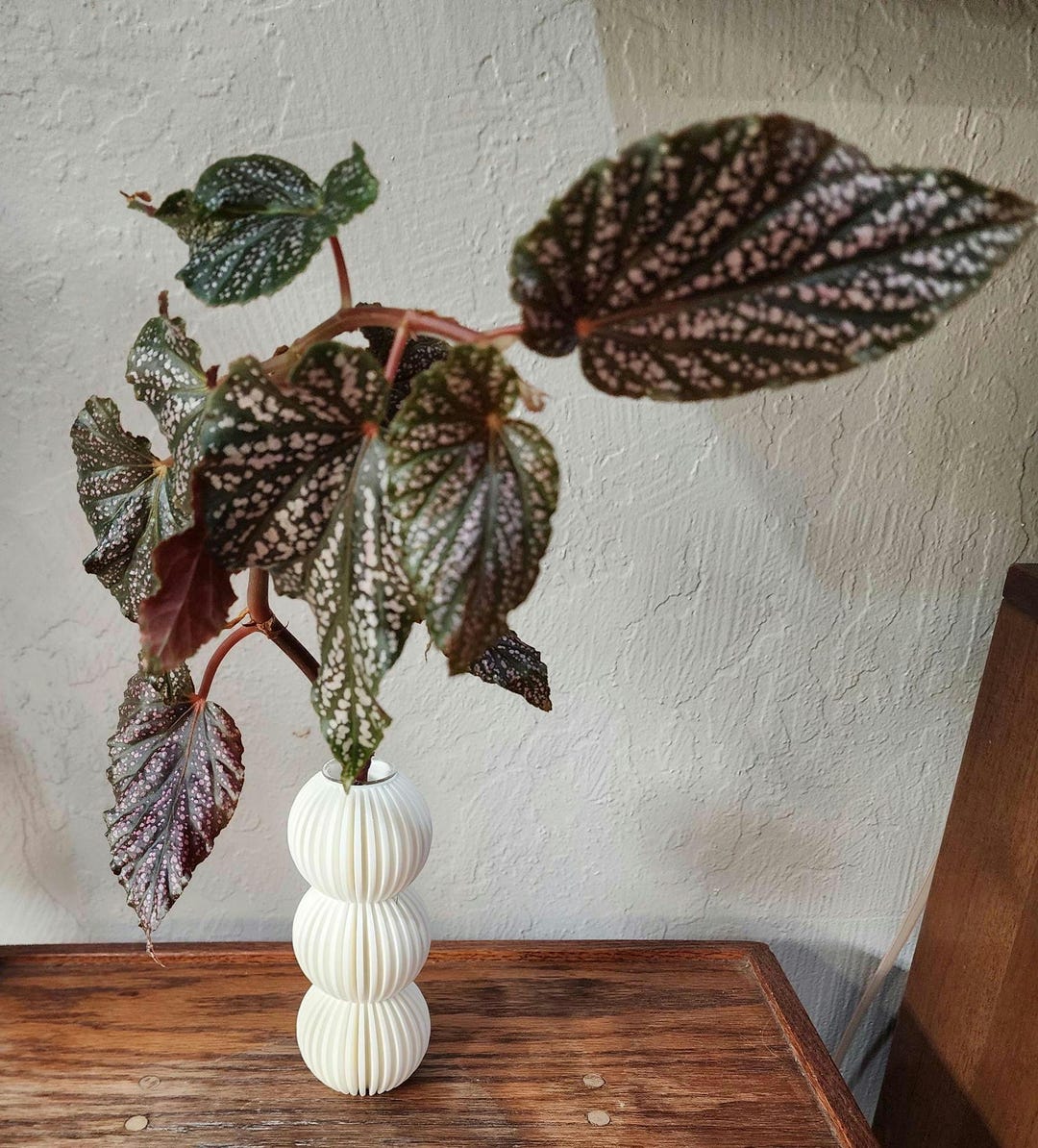 Modern Propagation Stand Tube Boho Room Decor Propagation Tube Gufts ...