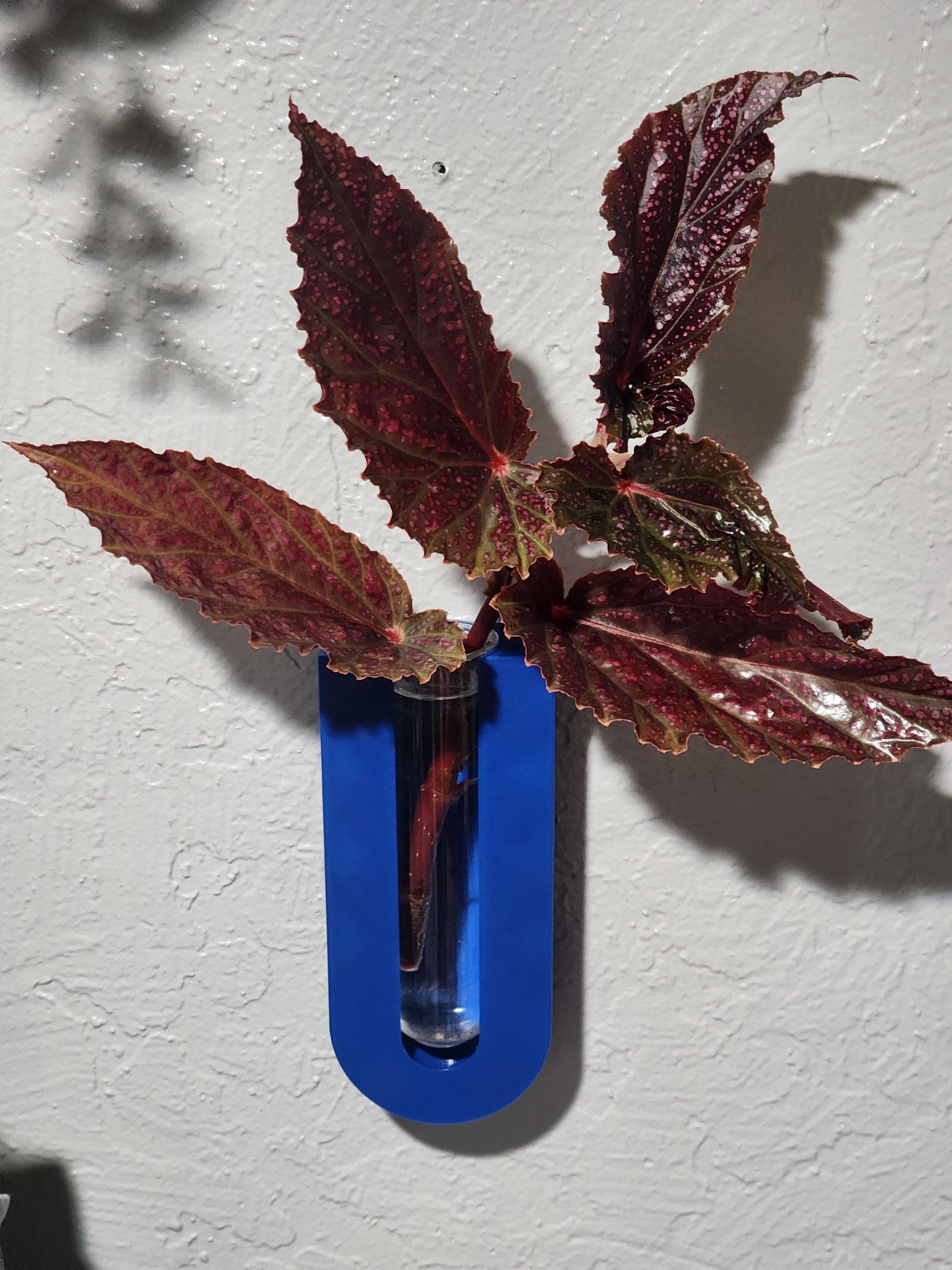 Wall Mount Plant Propagation Planter, Glass Propagating Tubes, Boho ...