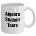 Algebra Student Tears Mug - Coffee Cup - Gifts for Mathematician ...