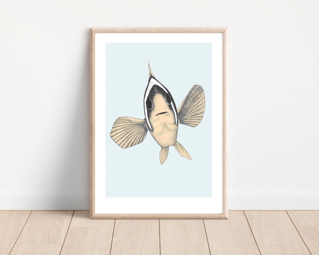 Clownfish Print Vintage Style Art Print, Hand Drawn Nemo, A4 Size - Etsy UK