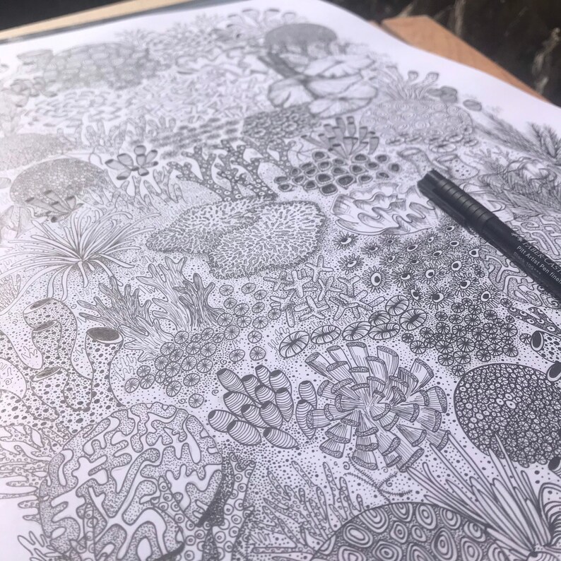 Coral Seascape Art Pen and Ink Drawing Original Hand Drawn | Etsy