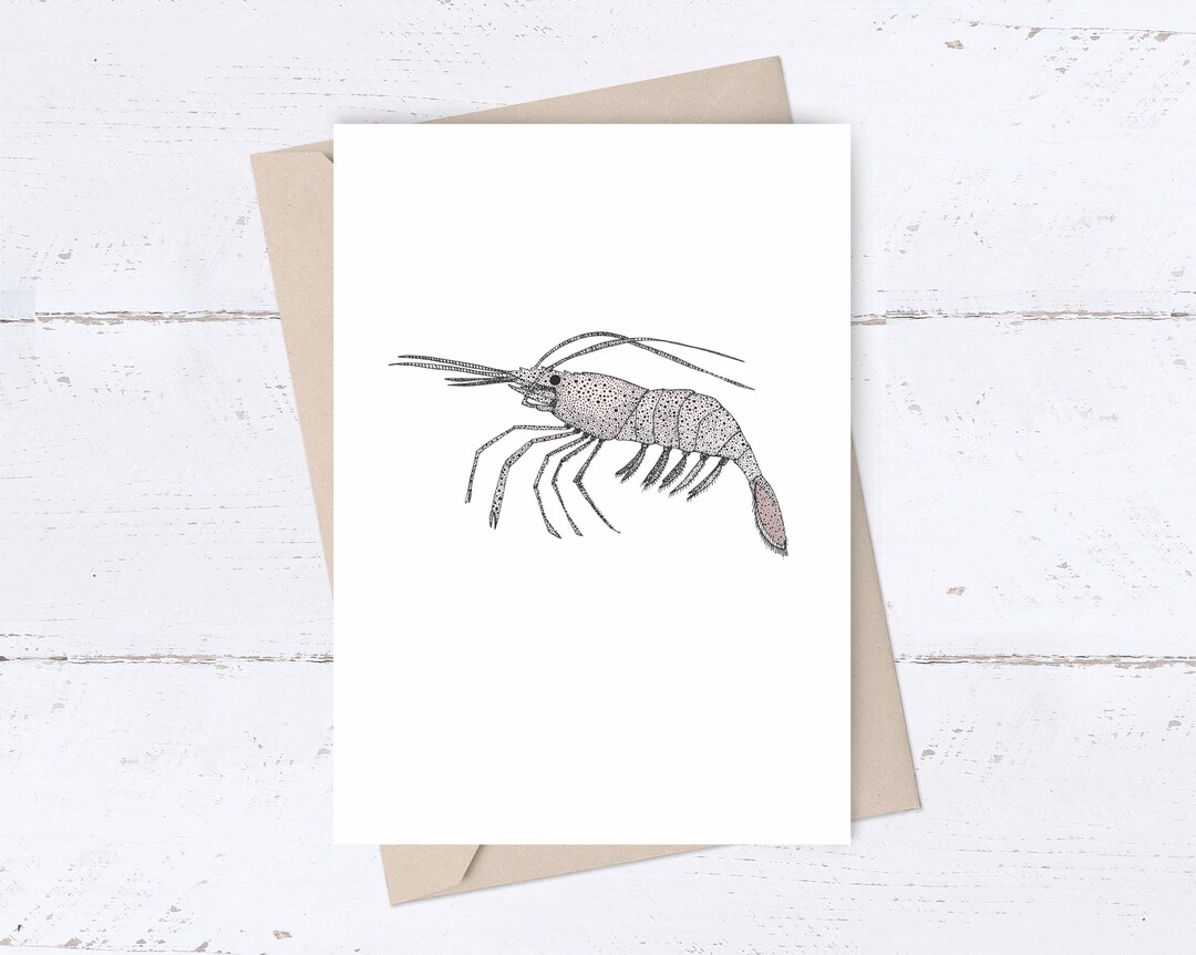 Prawn Card hand drawn prawn by El Sea Mar Art printed on to - Etsy ...