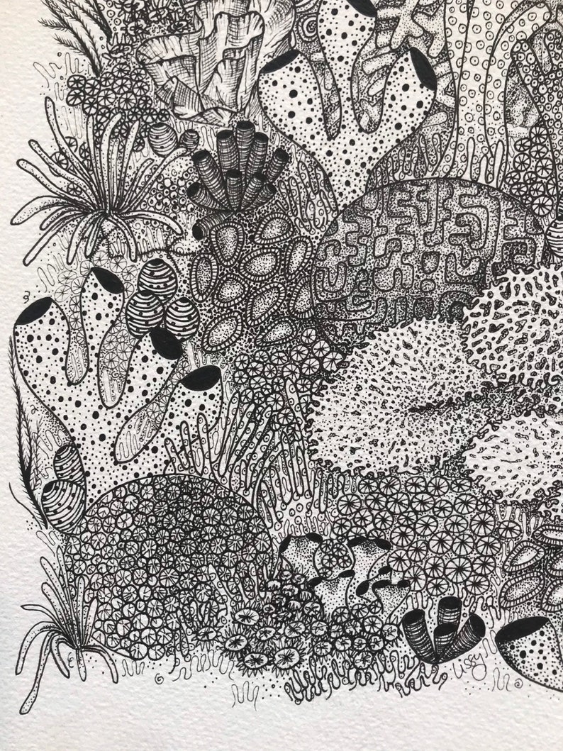 Hand Drawn Coral Reef Original Pen and Ink Drawing Original | Etsy