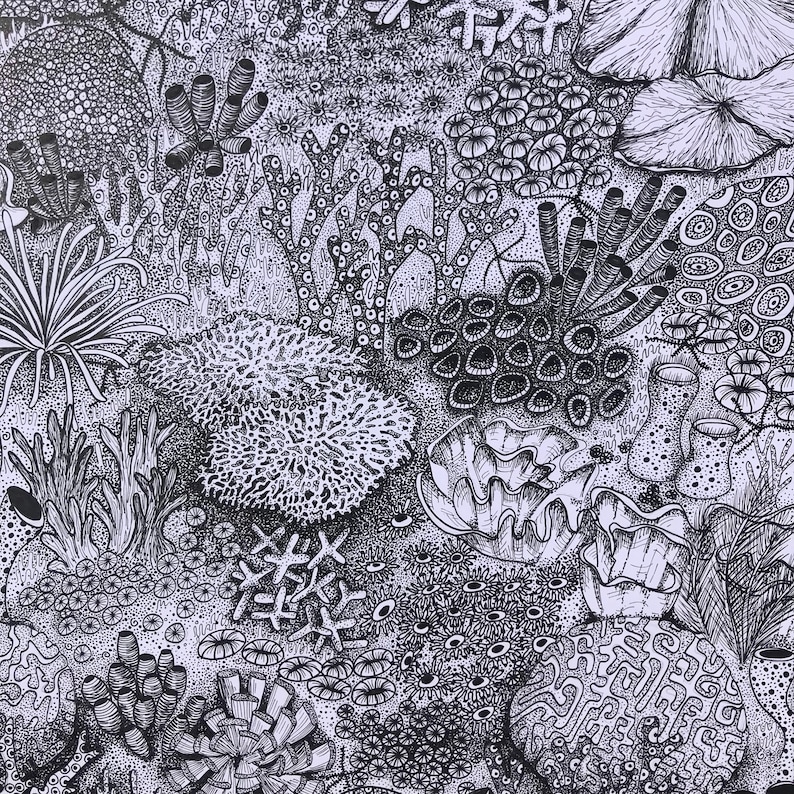Coral Seascape Art Pen and Ink Drawing Original Hand Drawn | Etsy