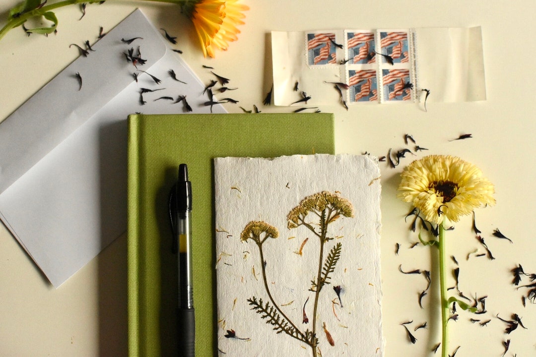 Pressed Flower Cards + Handmade Paper With Dried Flower Petals - Set of ...