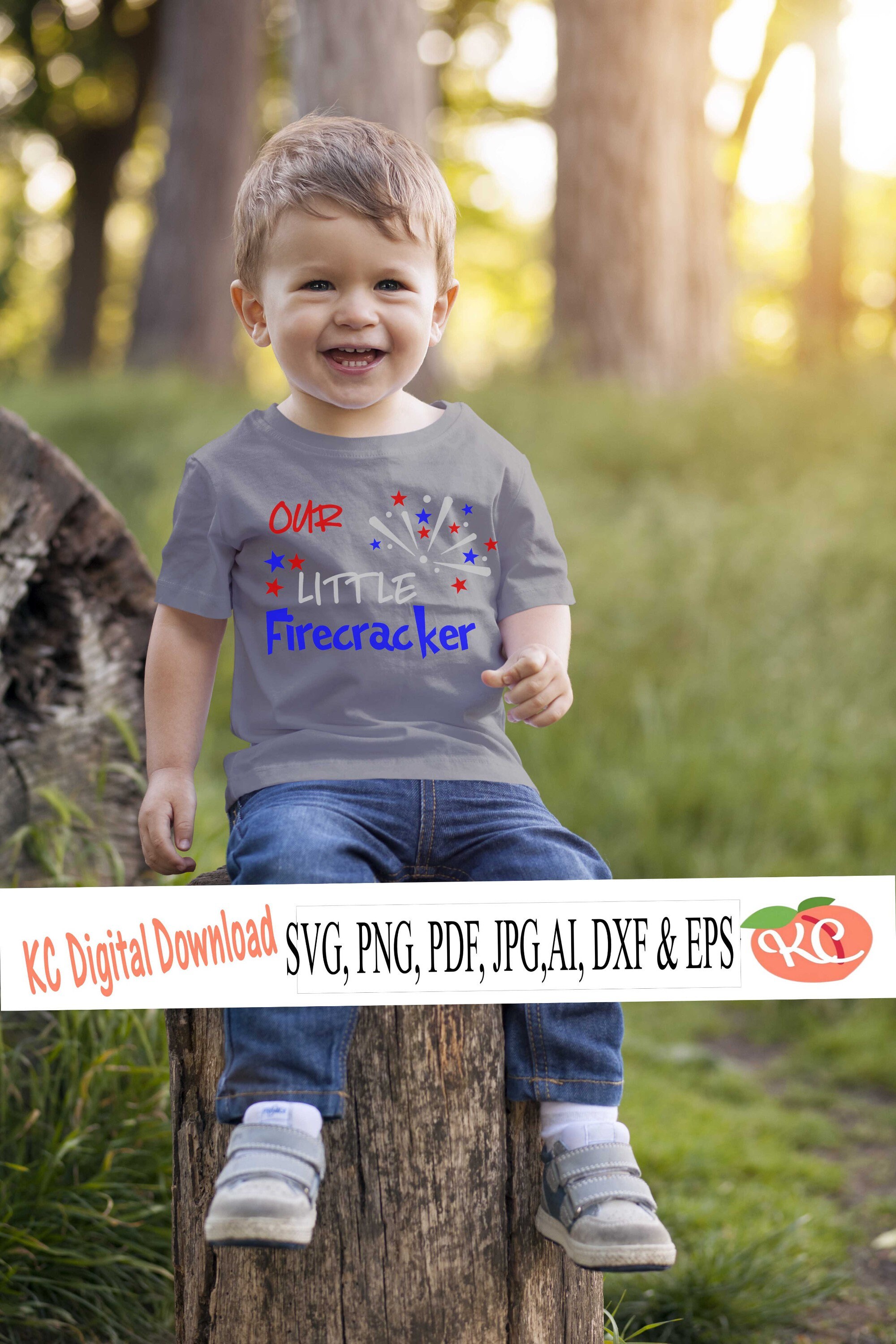 Our Little Firecracker Digital Svg Png Pdf Jpg AI Dxf Eps Studio3 ...