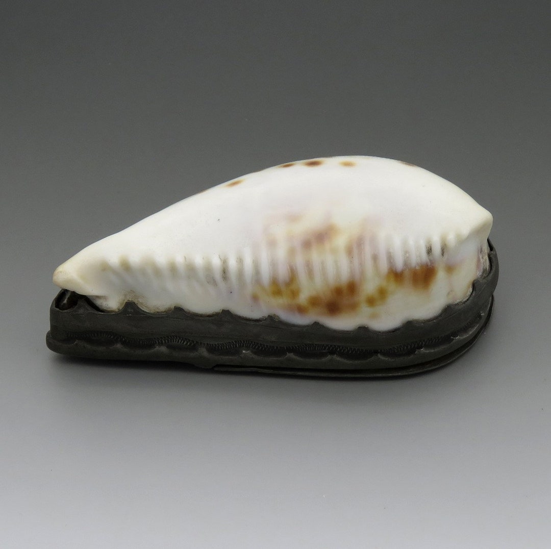 Antique Georgian 18th Century Natural Cowrie Shell Pewter Hinged Lid ...