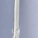 RARE Mid 1600s-1700s Dutch Silver Spoon Paw Fork Handle - Etsy